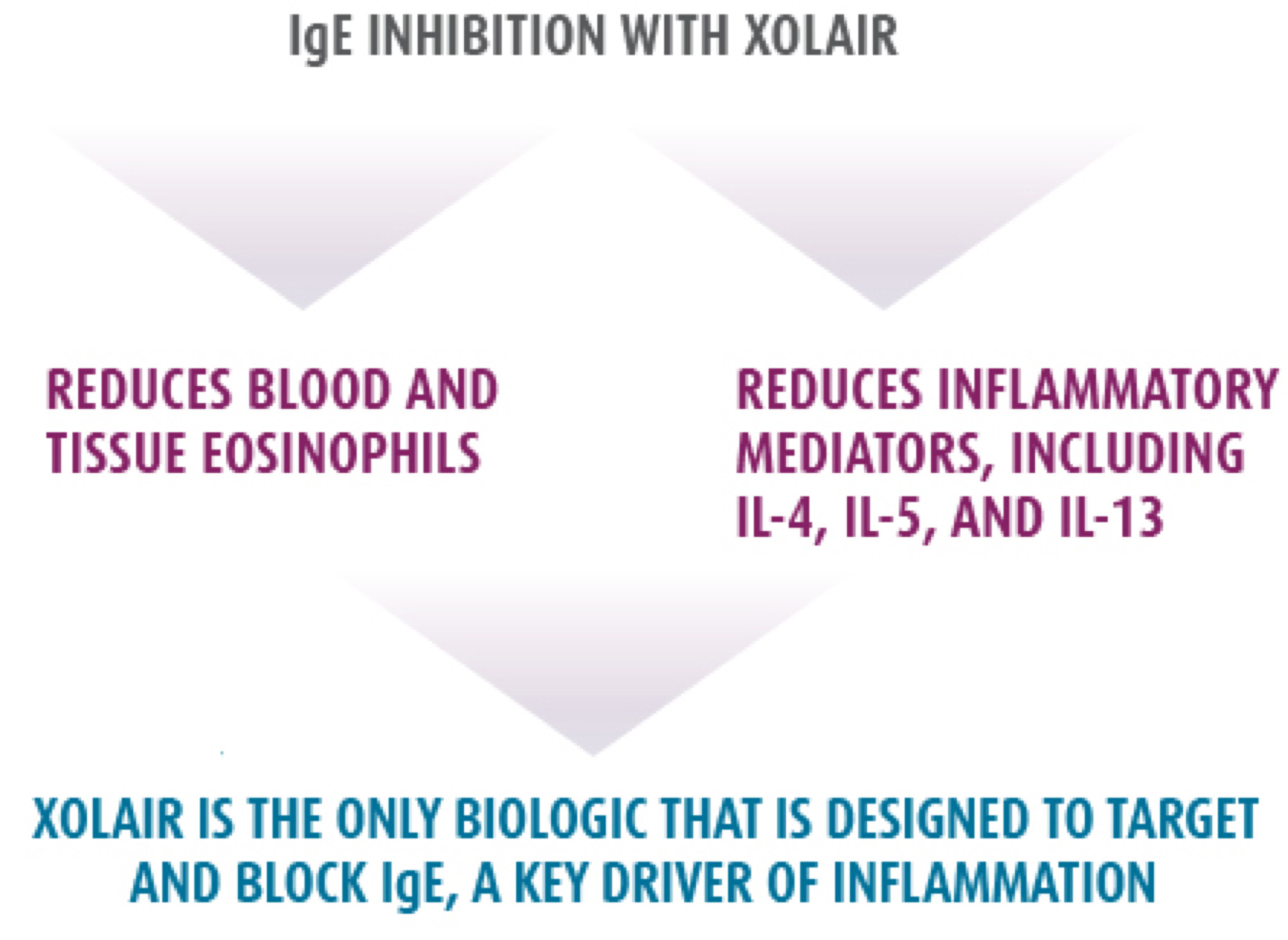XOLAIR® (omalizumab) MOA | Allergic Asthma Treatment